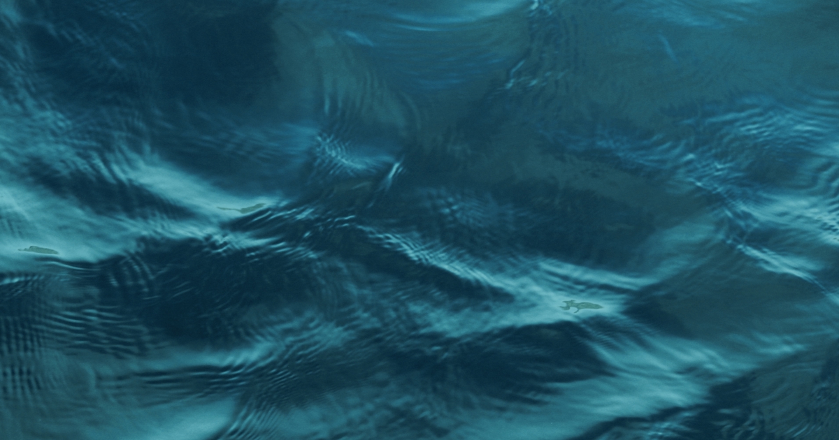 water.jpg?width=1200&height=630&v=1dc589807497480