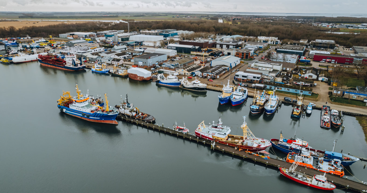 nb250807_padmos.png?width=1200&height=630&v=1dc061038208150