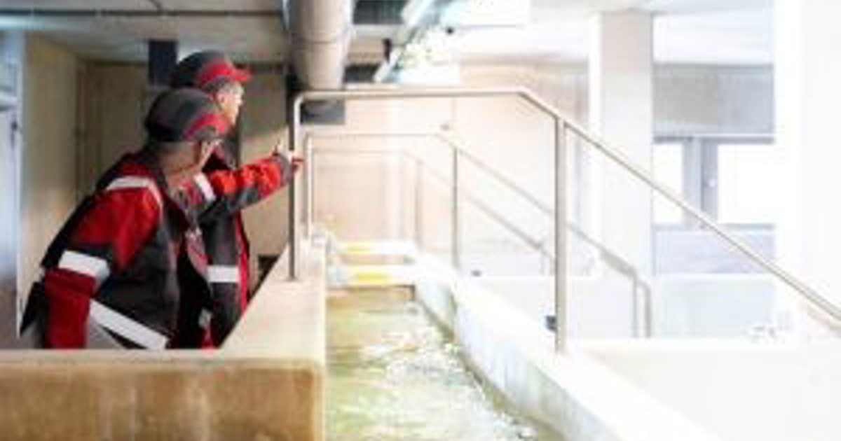 alewijnse.jpg?width=1200&height=630&v=1da52abbe893800